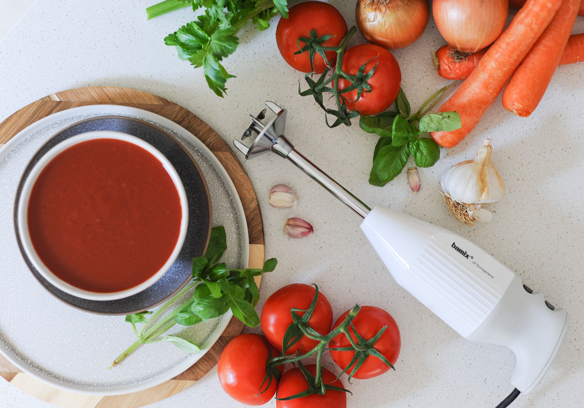 Bamix Mono Immersion Blender 140W White