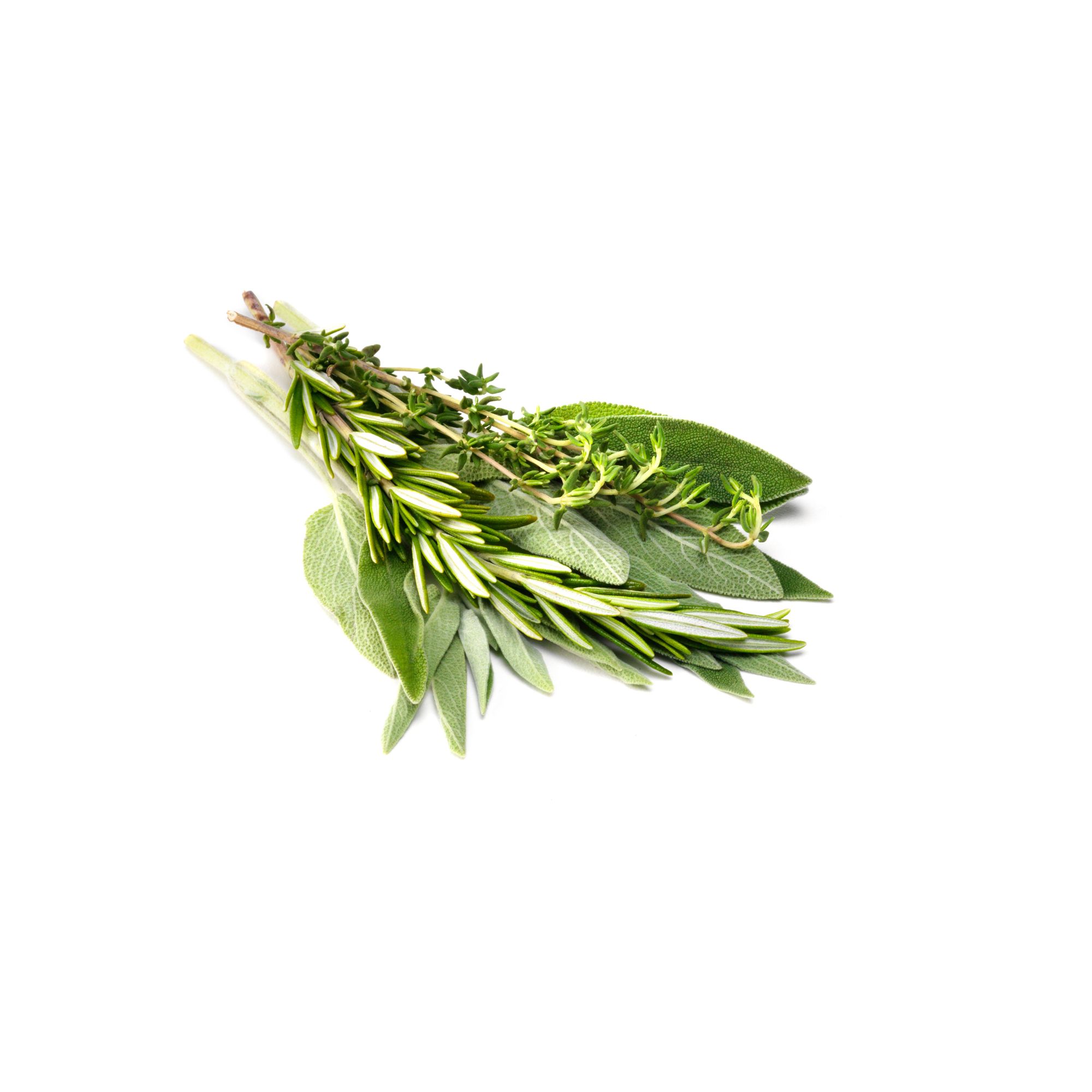 Chef'n Zipstrip Herb Stripper